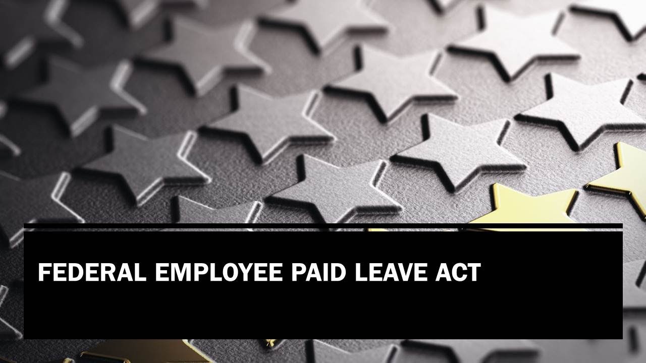 Federal Employee Paid Leave Act - YouTube