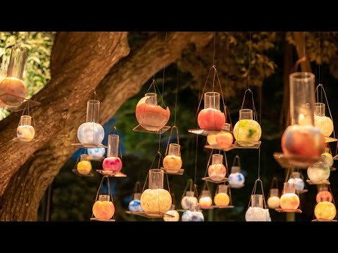 Merry Christmas To You  /    小林明子、永井真理子、Reimy、辛島美登里