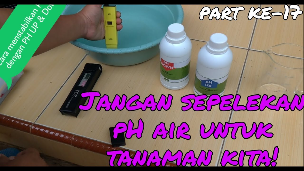 Tutorial cara menyetabilkan PH air tanaman dengan menggunakan PH UP ...