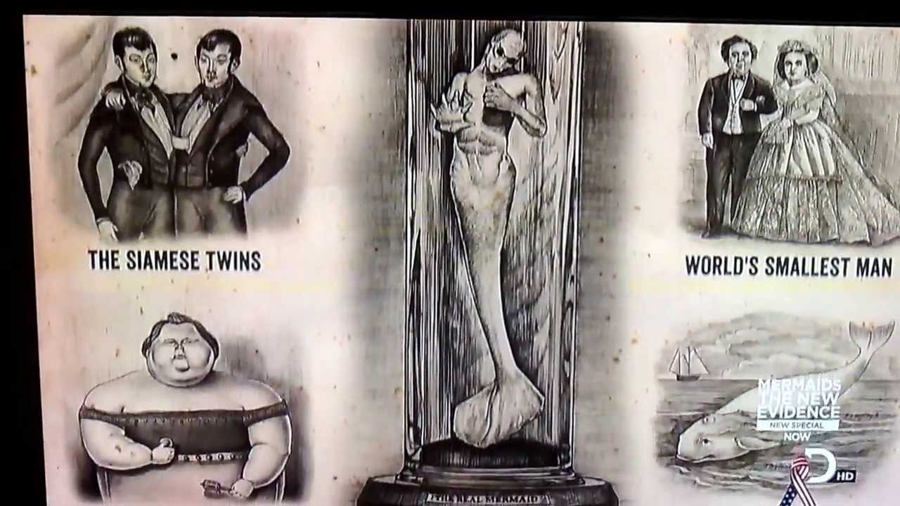 PT Barnum Mermaid. This is incredible Proof of mermaids in 1865 ...