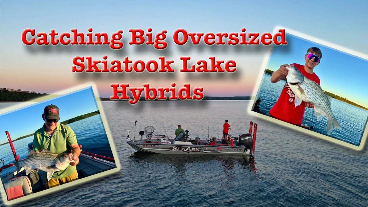 Skiatook Lake Hybrid Bass Fishing - YouTube