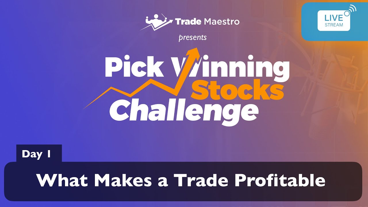 Pick Winning Stocks Challenge – Day 1: What Makes a Stock Profitable ...