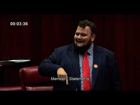 Barker Inlet Power Station Subcontractors | Members Statement | 25 ...