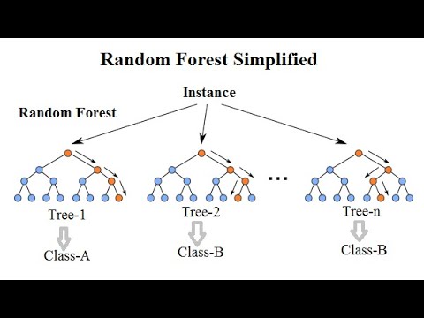 Machine Learning Course: Decision Trees and Random Forests - YouTube