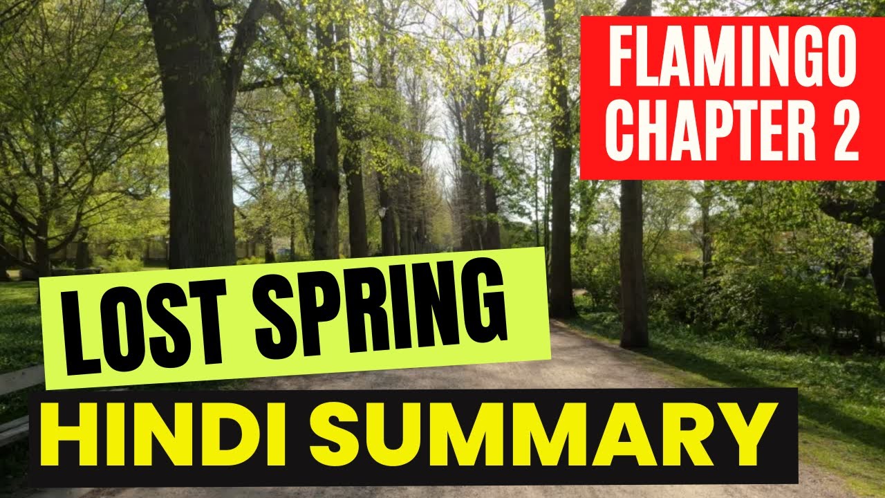 Lost Spring Stories Of Stolen Childhood Summary In Hindi Flamingo lost-spring-stories-of-stolen-childhood-summary-in-hindi-flamingo