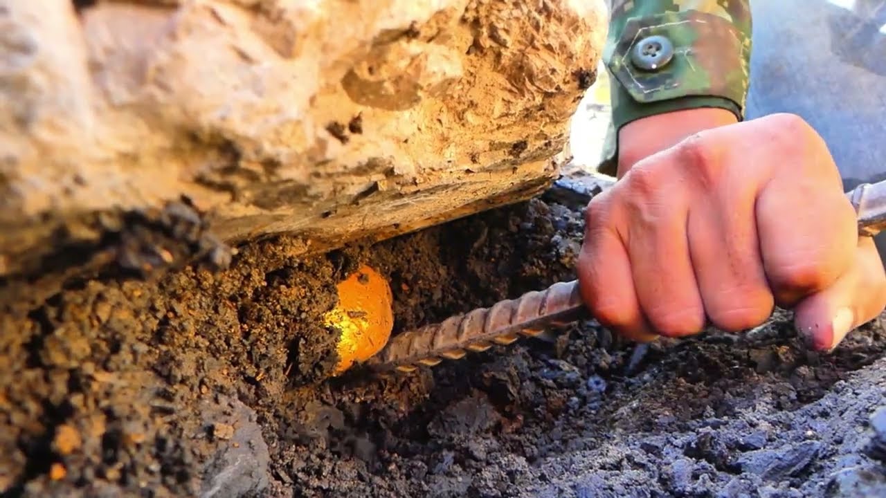 Did not expect that the arctic shell has a golden pearl inside! Open ...