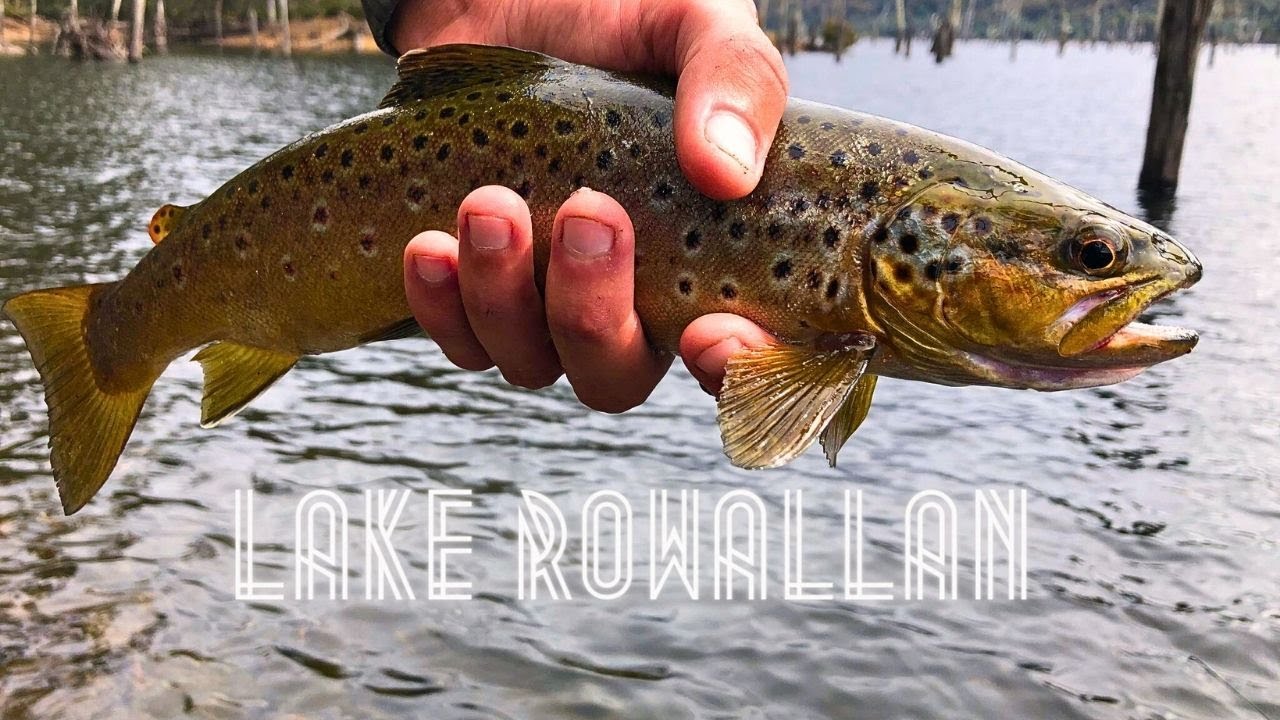 TROUT FISHING | Lake Rowallan & Mersey River - YouTube