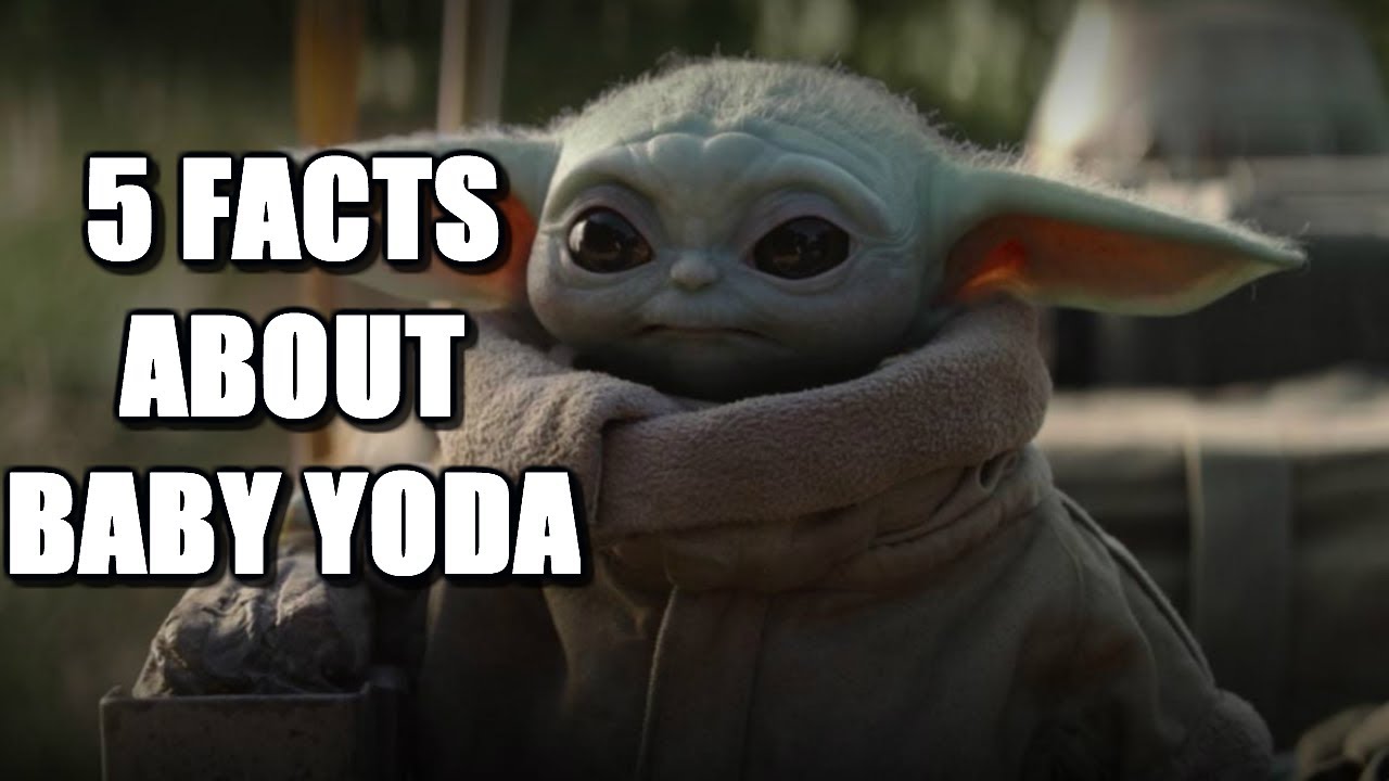 5 Interesting Facts Of Baby Yoda - YouTube