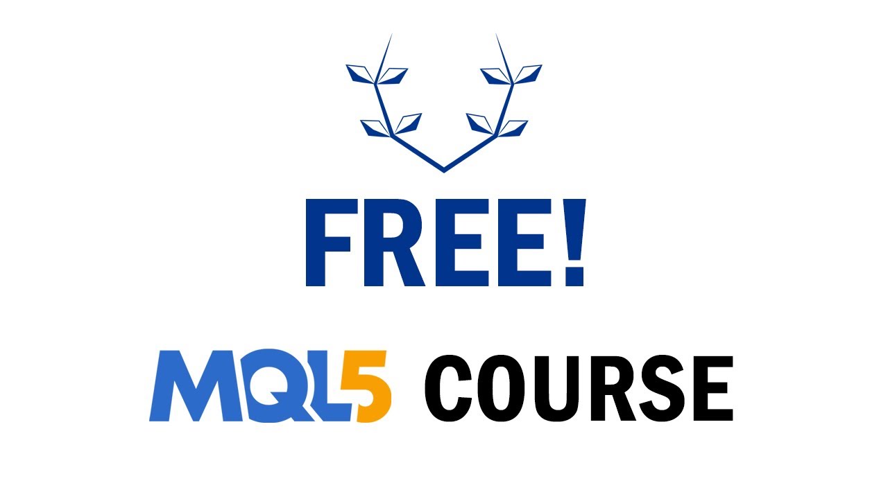 Mql5 Course For Free And How To Use My Platform Youtube