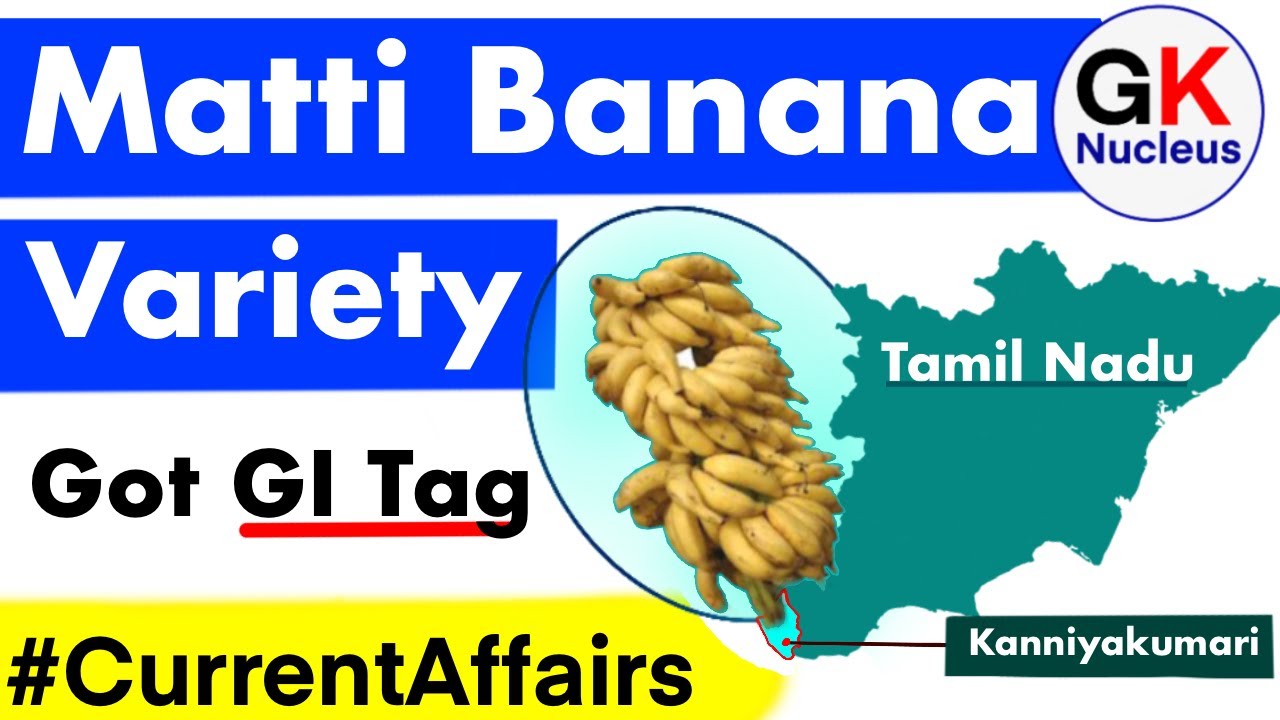 Matti Banana Variety Got GI Tag | CurrentAffairs | UPSC | #gknucleus # ...