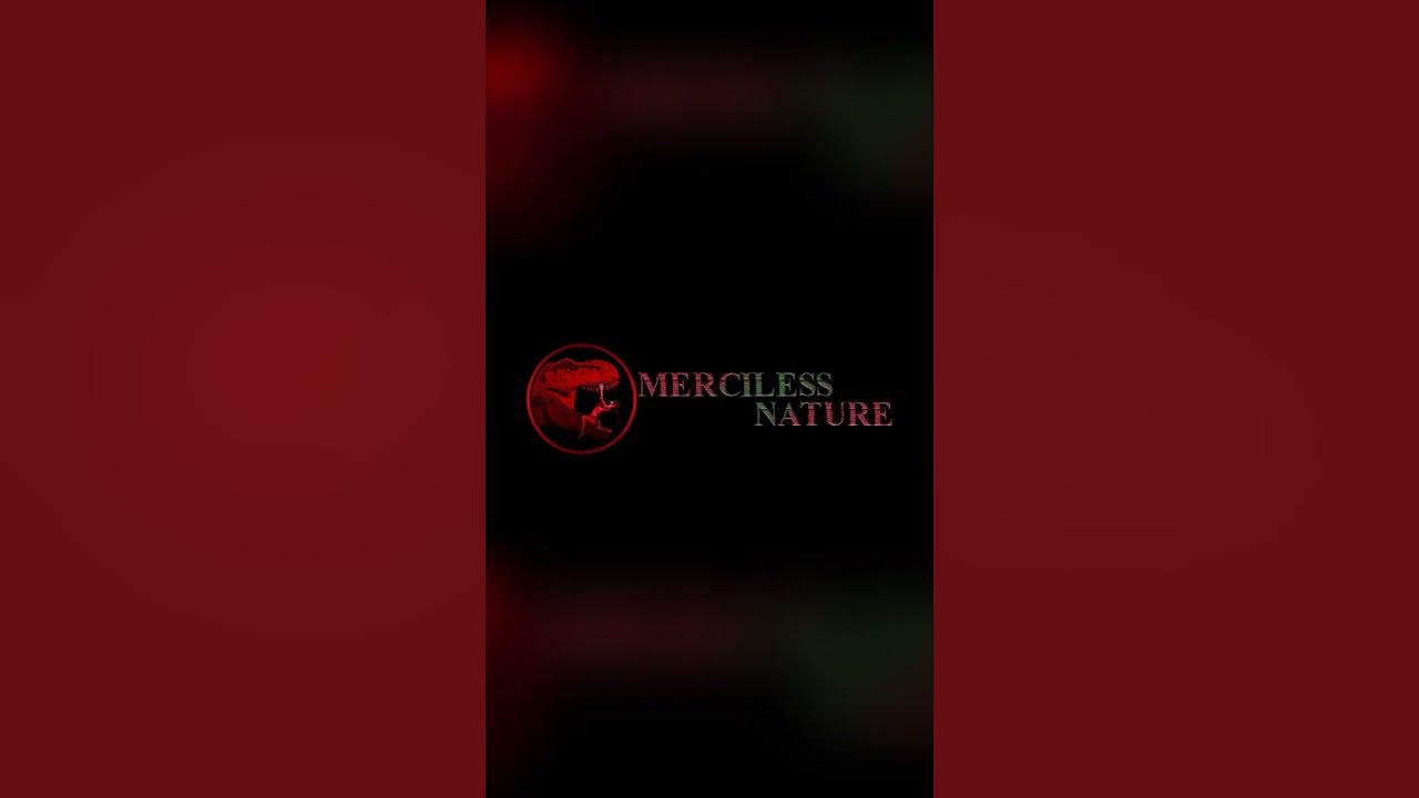 Albino 1 - Snake Vore Video #snake #snakevore - YouTube