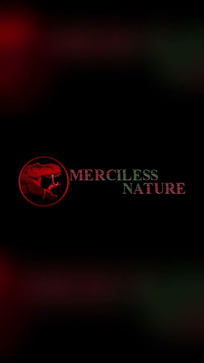 Albino 1 - Snake Vore Video #snake #snakevore - YouTube