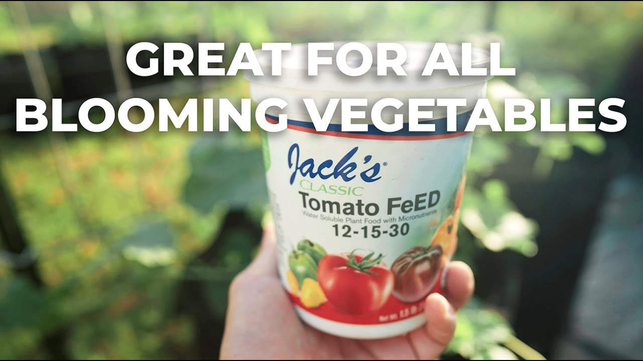 A quick review of Jack's Veggie Feed (formerly Tomato Feed) | Great for ...