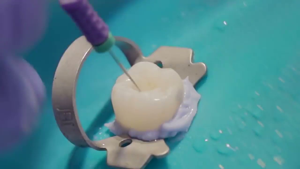 How To Use Self Adjusting File SAF - YouTube