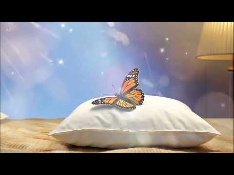 Bi’Şarkı Mola – Benim Hayalim Sensin