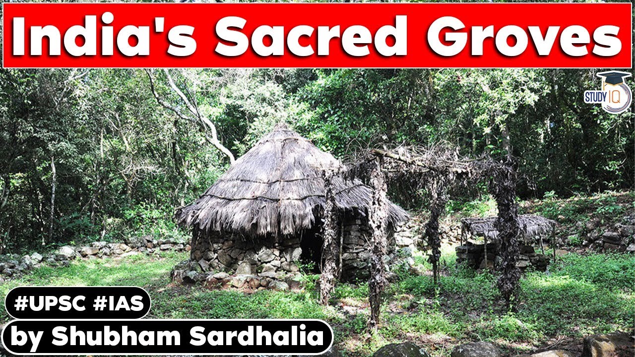 India s Sacred Groves Significance And Relevance Environment Ecology