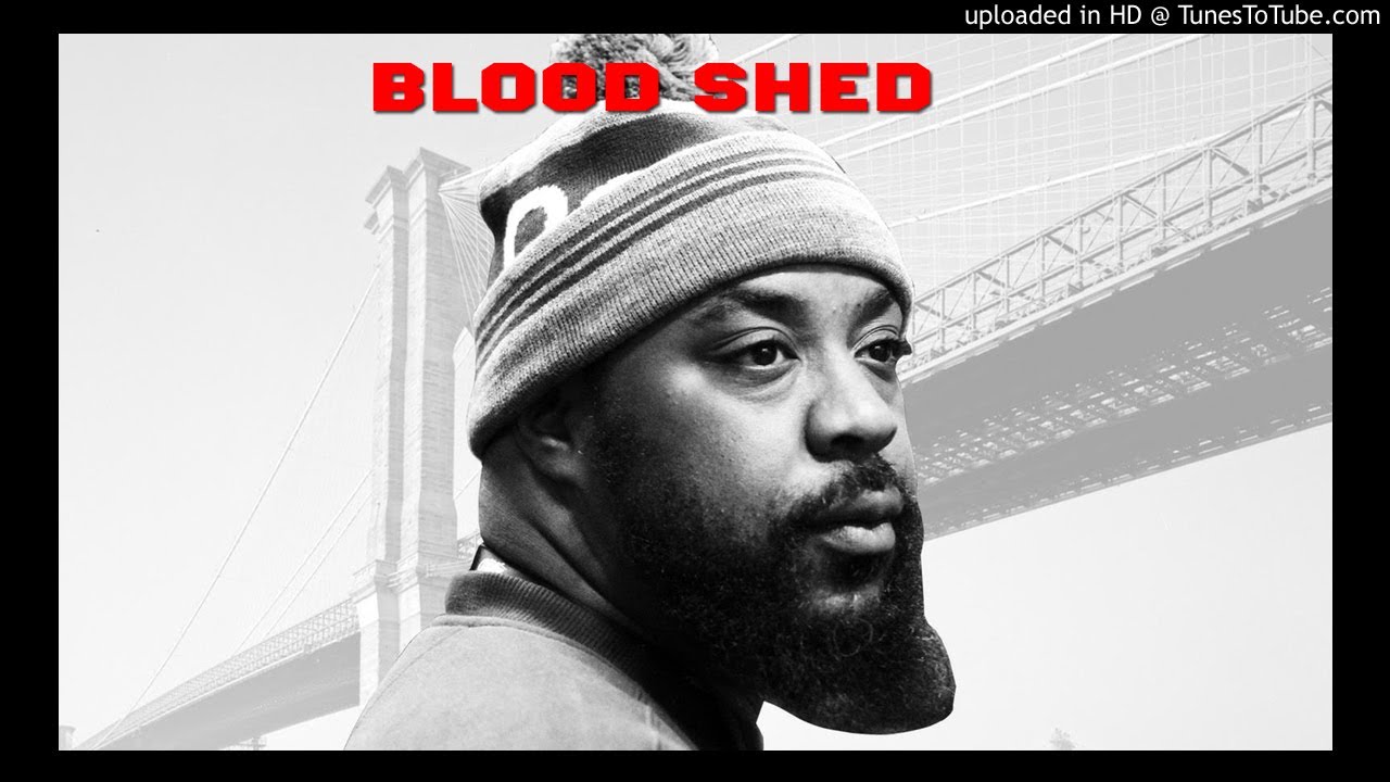 Sean Price x Vinnie Paz Type Beat 2017 | "BLOOD SHED" - YouTube