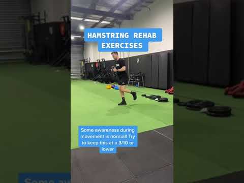 Early stage hamstring rehab exercises #hamstrings #sportsinjury # ...