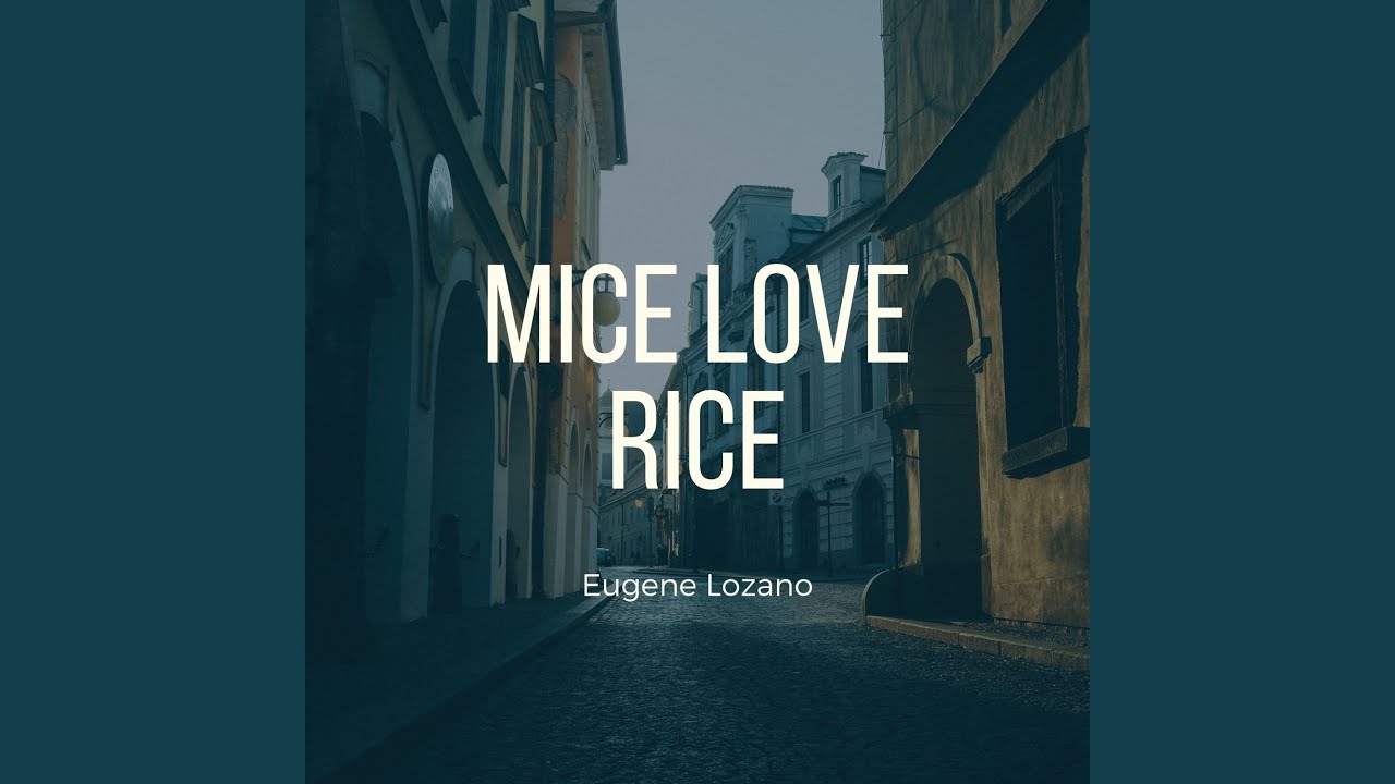 Mice love Rice - YouTube
