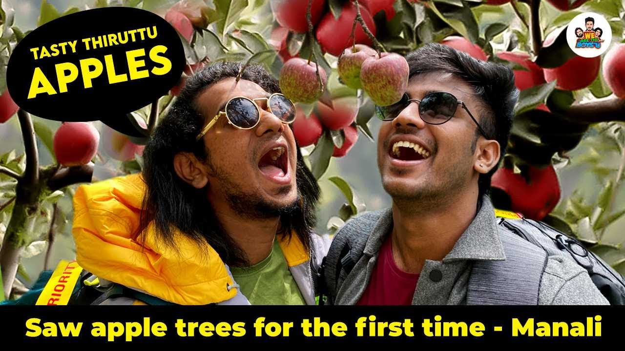 Apple tree in Manali | Tasting Thiruttu Apples | We are the boysu ...
