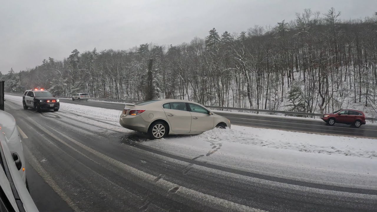 Large Ash tree removal project ( we get stuck in a blizzard ) - YouTube