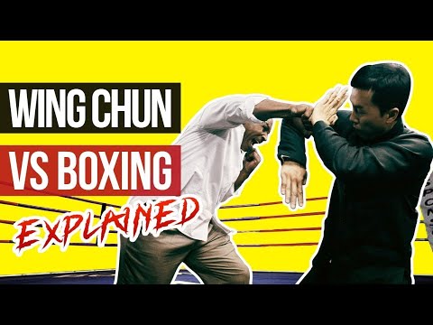 Wing Chun VS Boxing Techniques EXPLAINED