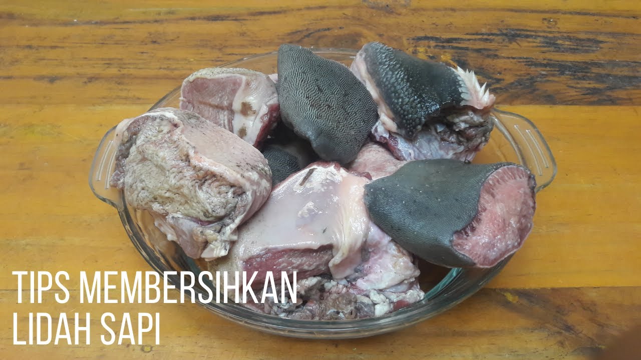 TIPS MEMBERSIHKAN LIDAH SAPI, BISA DICOBA...!!! - YouTube