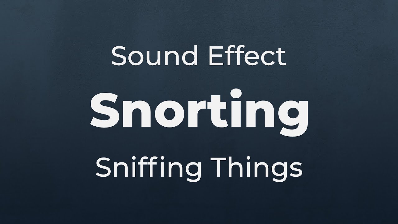 Sniff Snorting Snot Sound Effect | SFX Free for Non-Profit Projects ...