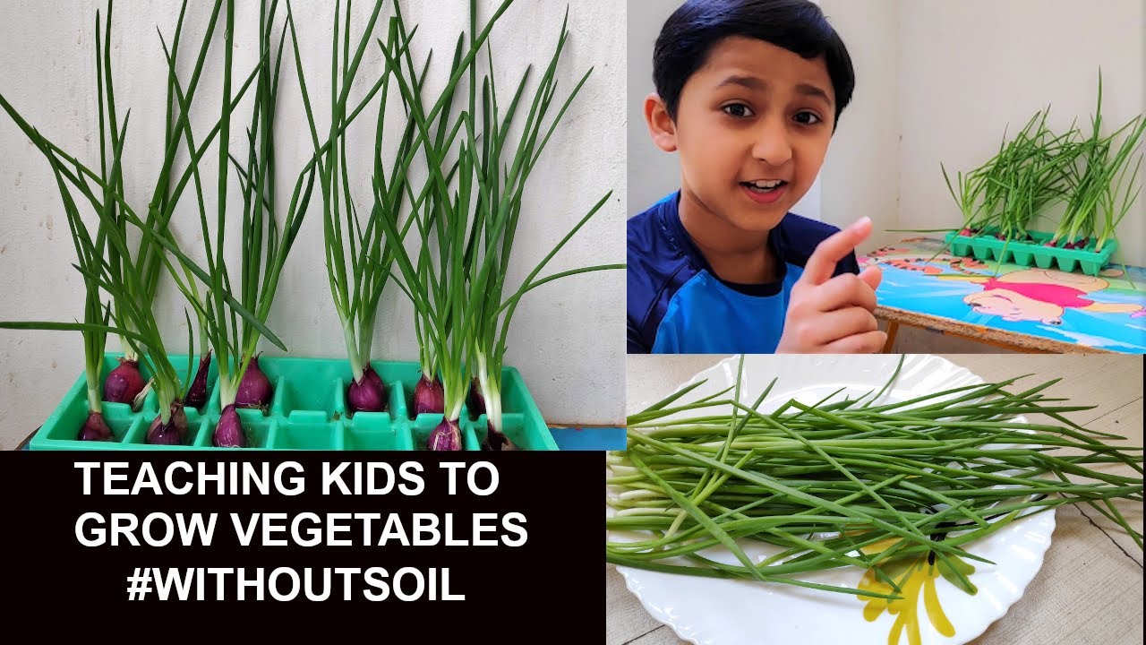 Grow Spring Onion At Home | Kids Gardening Activity | Gardening without ...