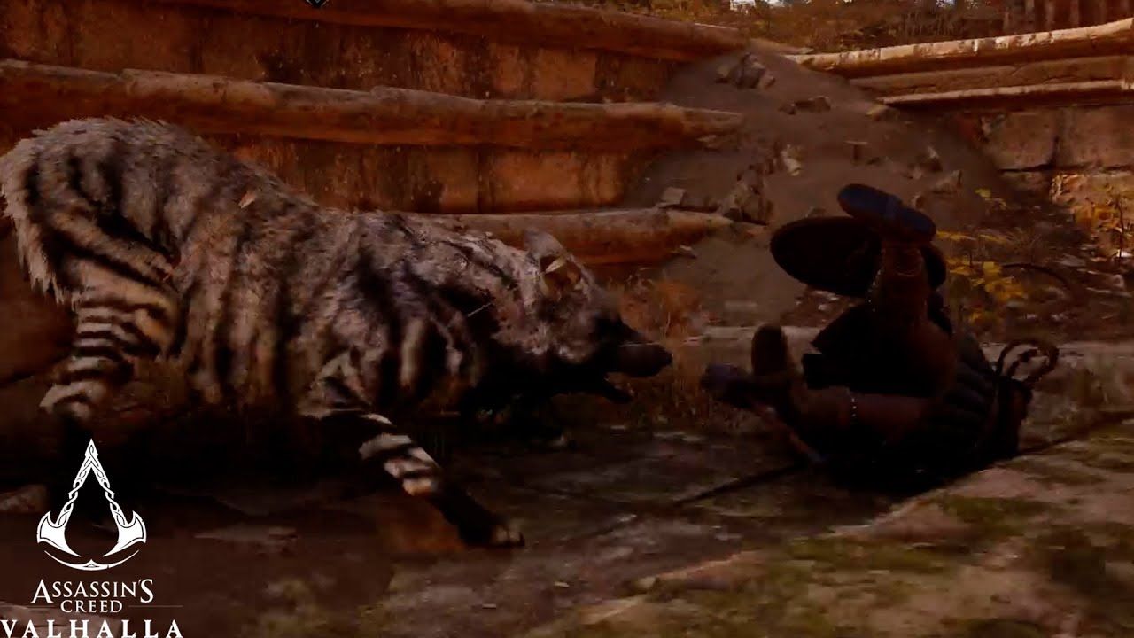 Assassin's Creed Valhalla - Gemad Wulf (Legendary Animal) - YouTube
