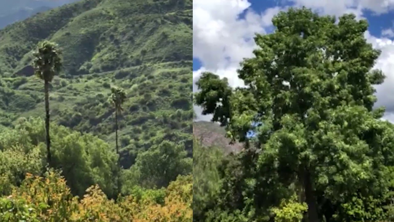 Compiled video from Robert Gunderman's ranch in Fillmore, CA. - YouTube
