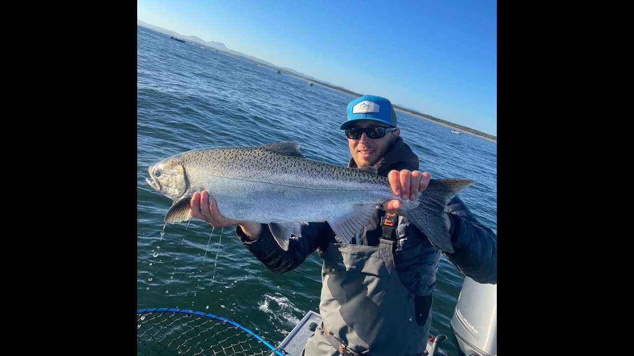 KinesioOutdoors Podcast #4 Dylan Gorman - YouTube