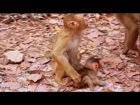 Luay is testing cute baby Lucan to see if he can walk alone At the same ...