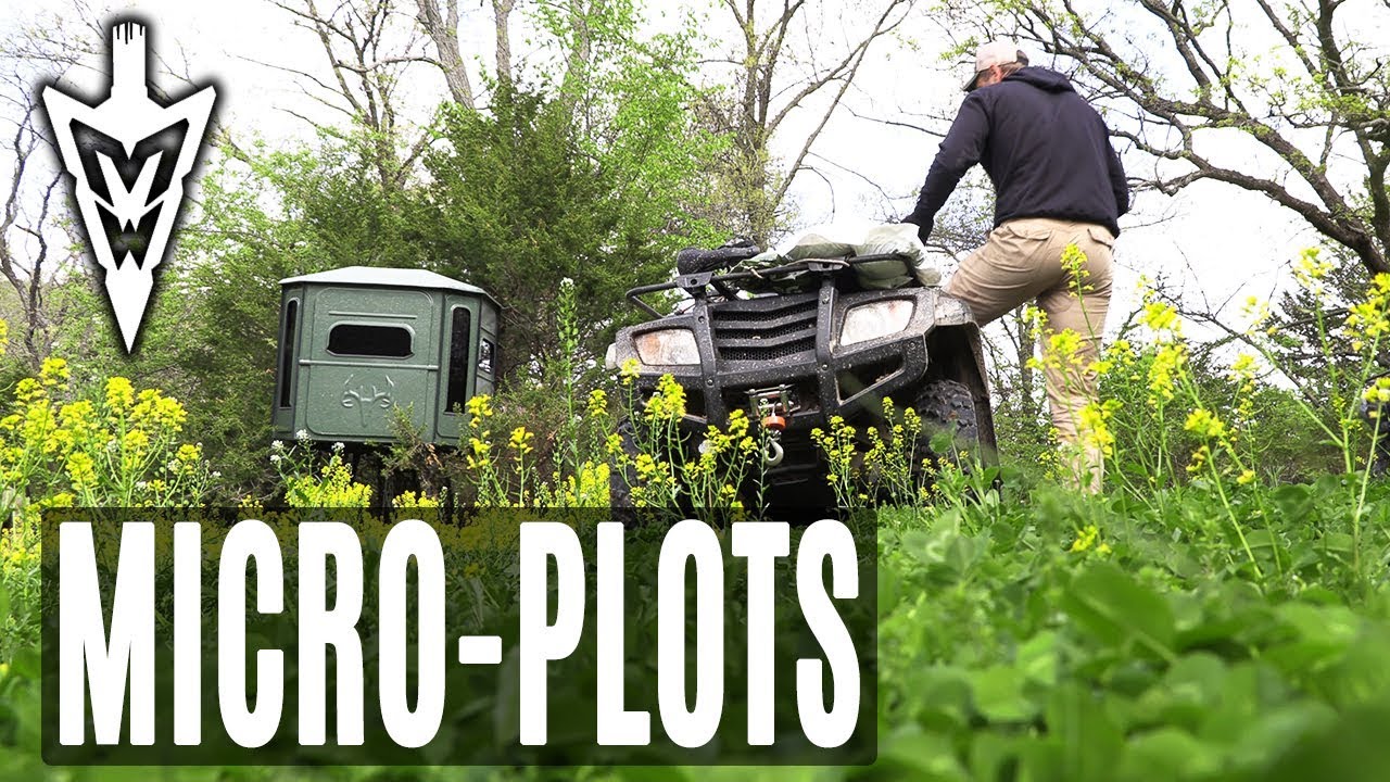 Micro-Plot Update, Camera Tips | Midwest Whitetail - YouTube