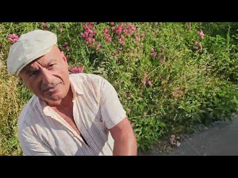 Güzel Manzara.