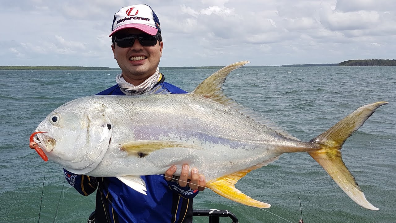 Peixe Xaréu: Conheça todas informações sobre essa espécie