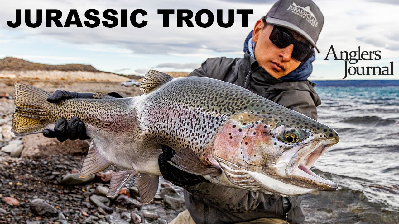 Jurassic Lake Giant Rainbow Trout - YouTube