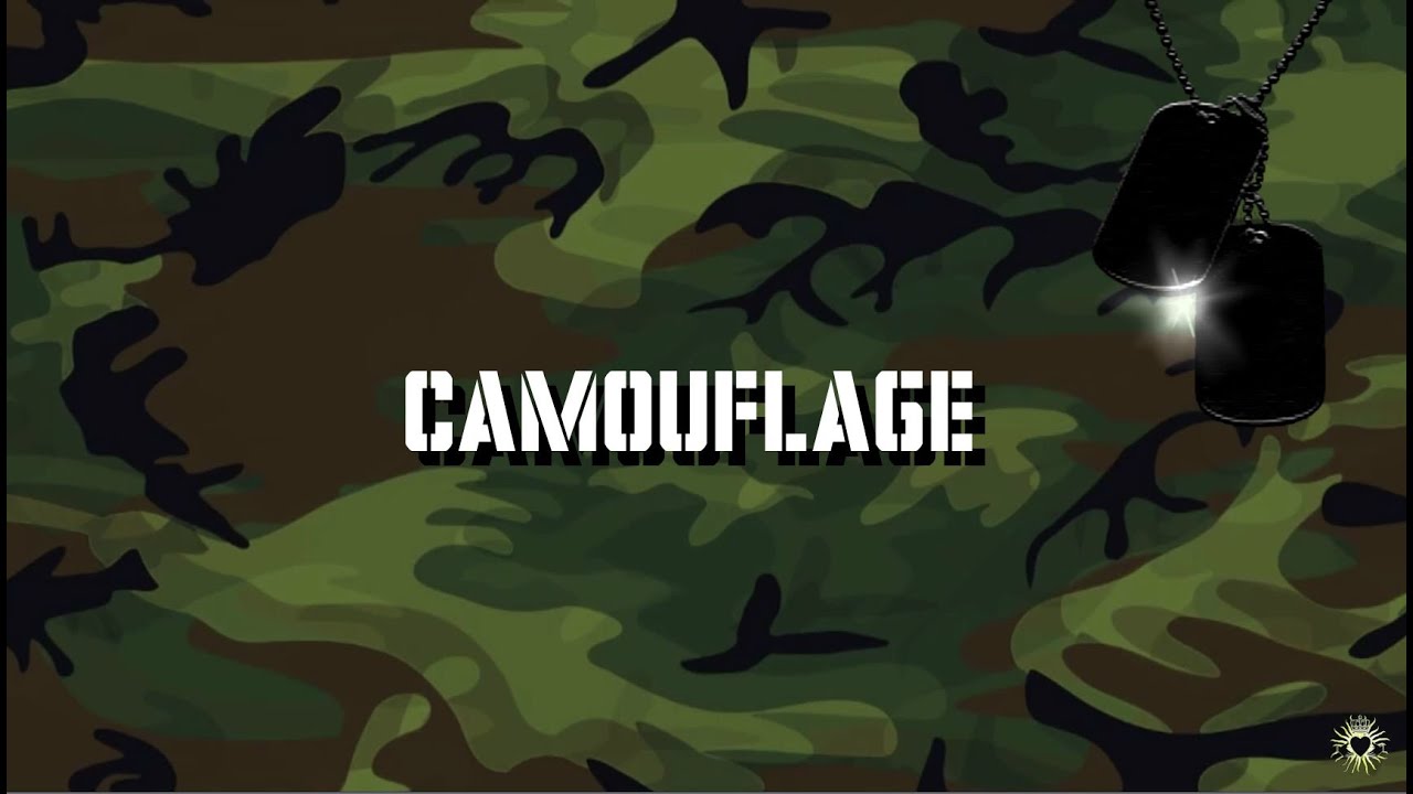 Stan Ridgway - Camouflage [Lyrics] - YouTube