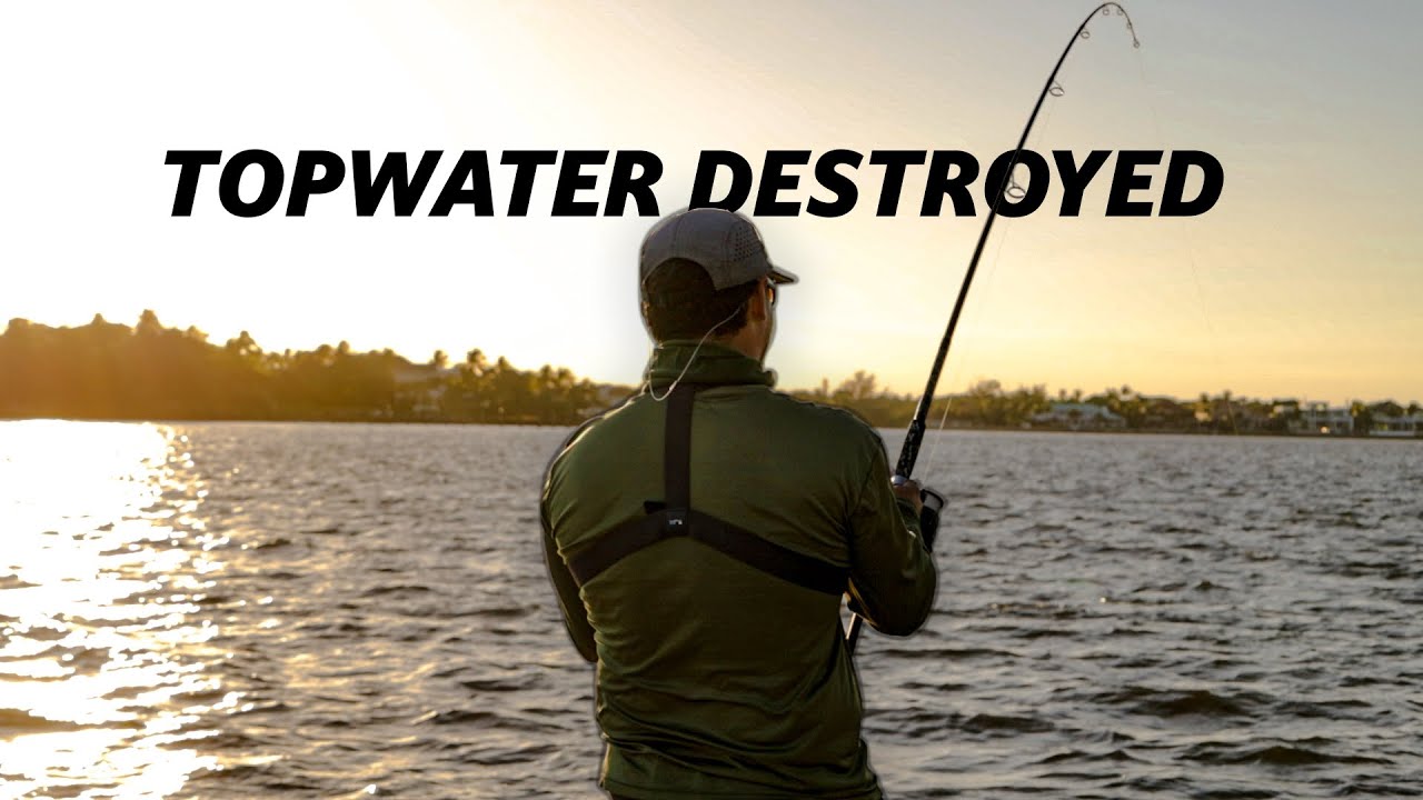 Swimbaits and Topwaters Get Destroyed Fishing Inshore! - YouTube