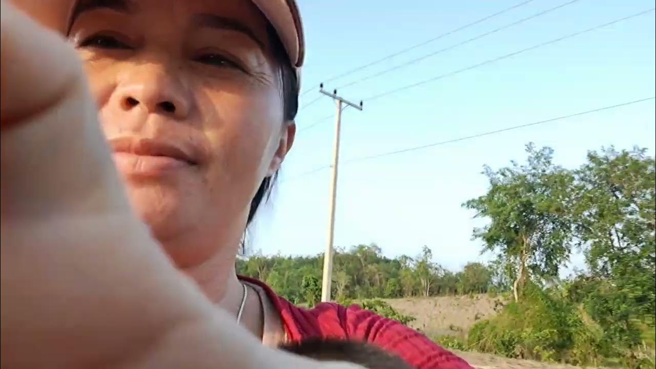 nrog kuv mus noo Hai os - YouTube