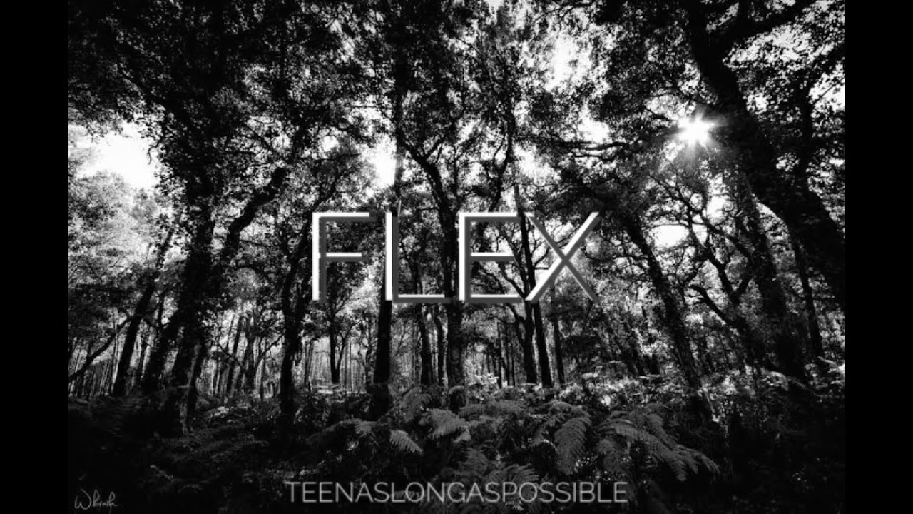 FLEX | rap song | TEENALAP 2020 - YouTube