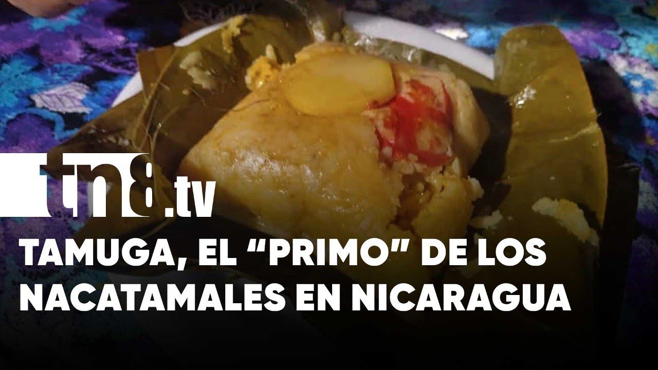 ¿Ya conoces la tamuga? Una delicia nica que se elabora en Masatepe ...