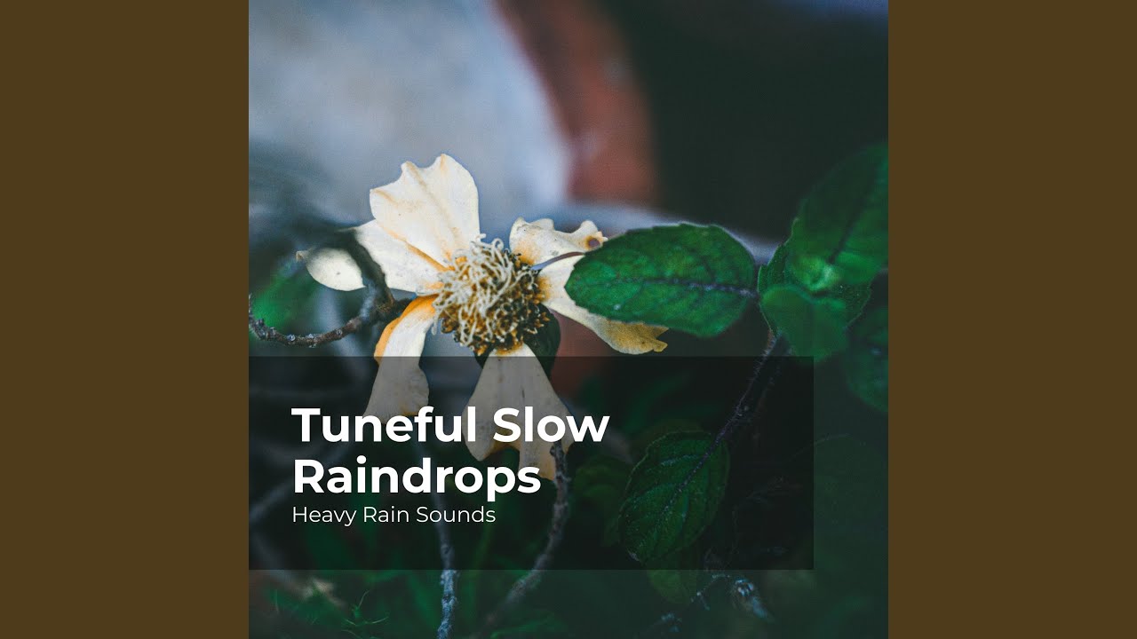 Ample Teeming Storm - YouTube