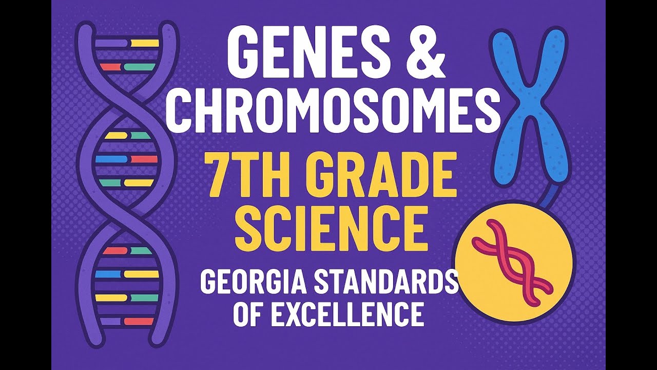 🔬 Genes & Chromosomes Explained! | How Traits Are Inherited | 7th Grade ...