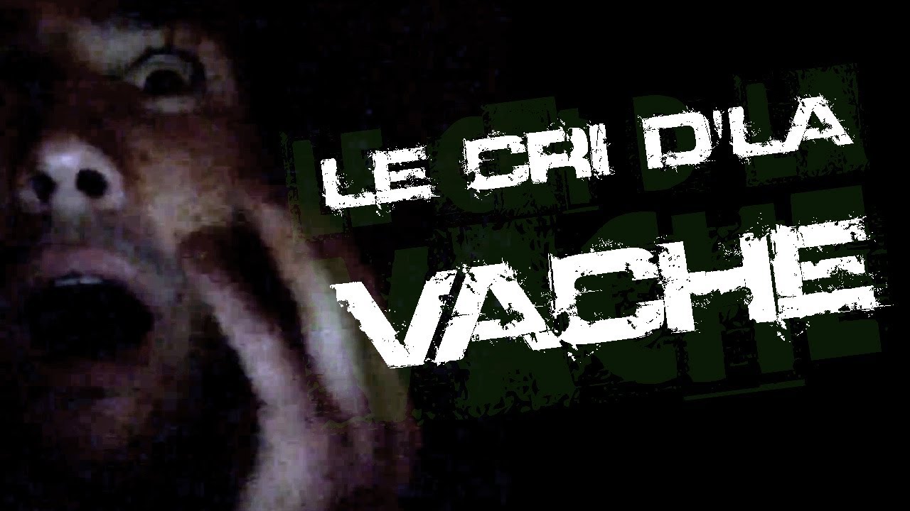 WAZOTV - le cri d'la vache.mp4 - YouTube