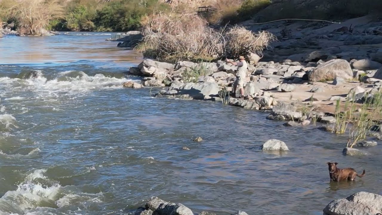 Visvang 27 Aug 2023 - YouTube