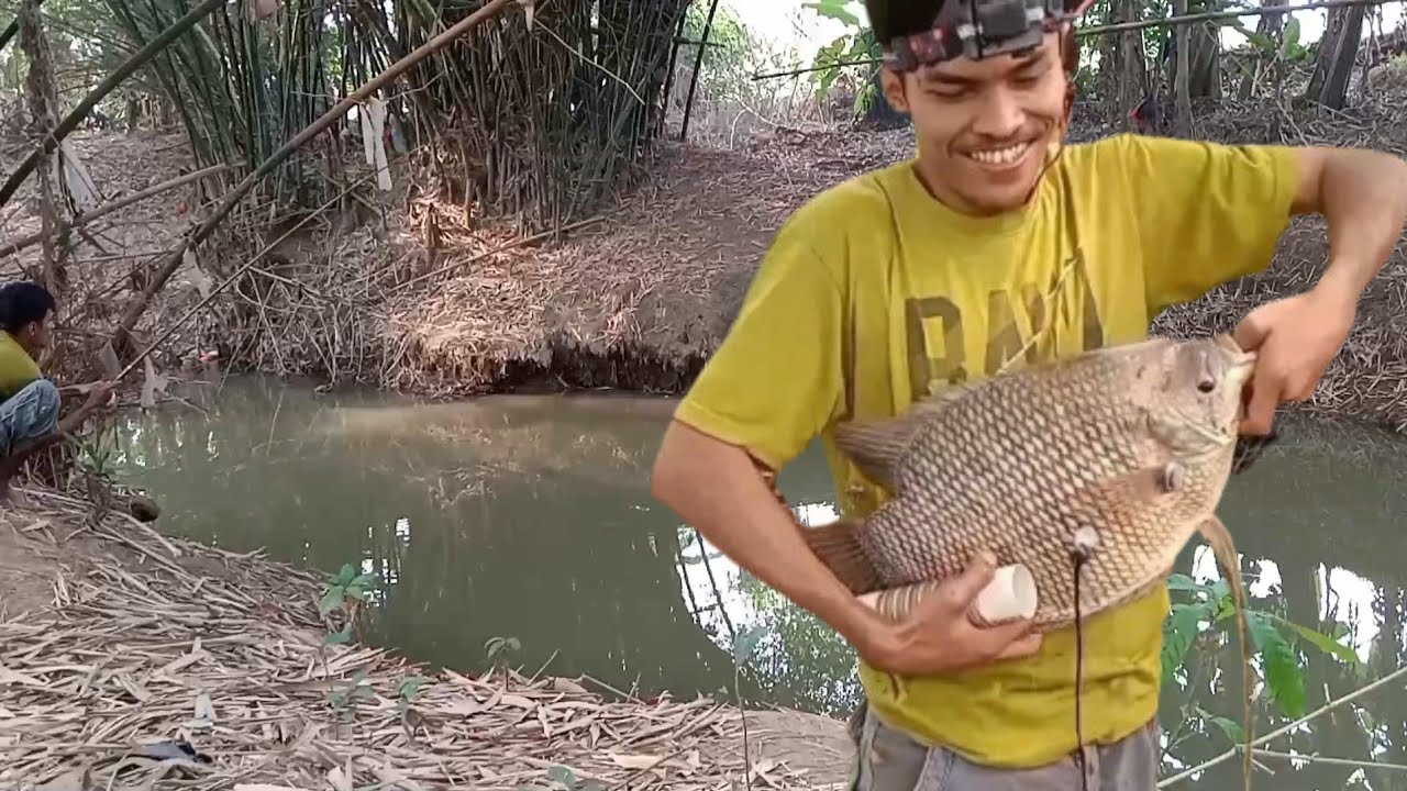 FISHING AND SHOOTING FISH ON THE RIVER LOTS OF BAMBOO TREES - YouTube