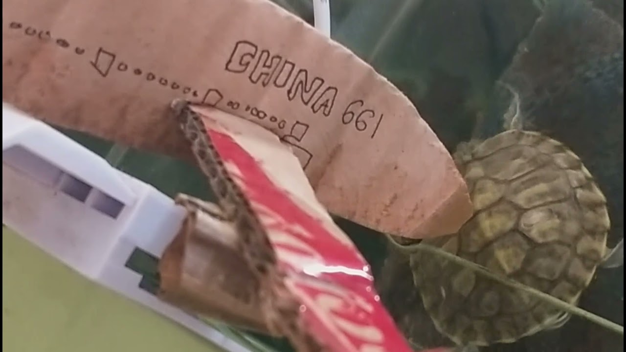 China Airlines Flight 661 emergency landing - YouTube