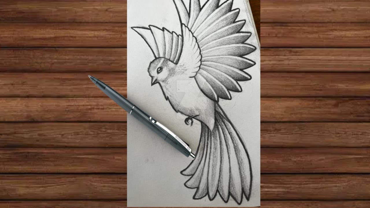 How to draw bird|| how to draw bird step by step with pencil sketch for ...