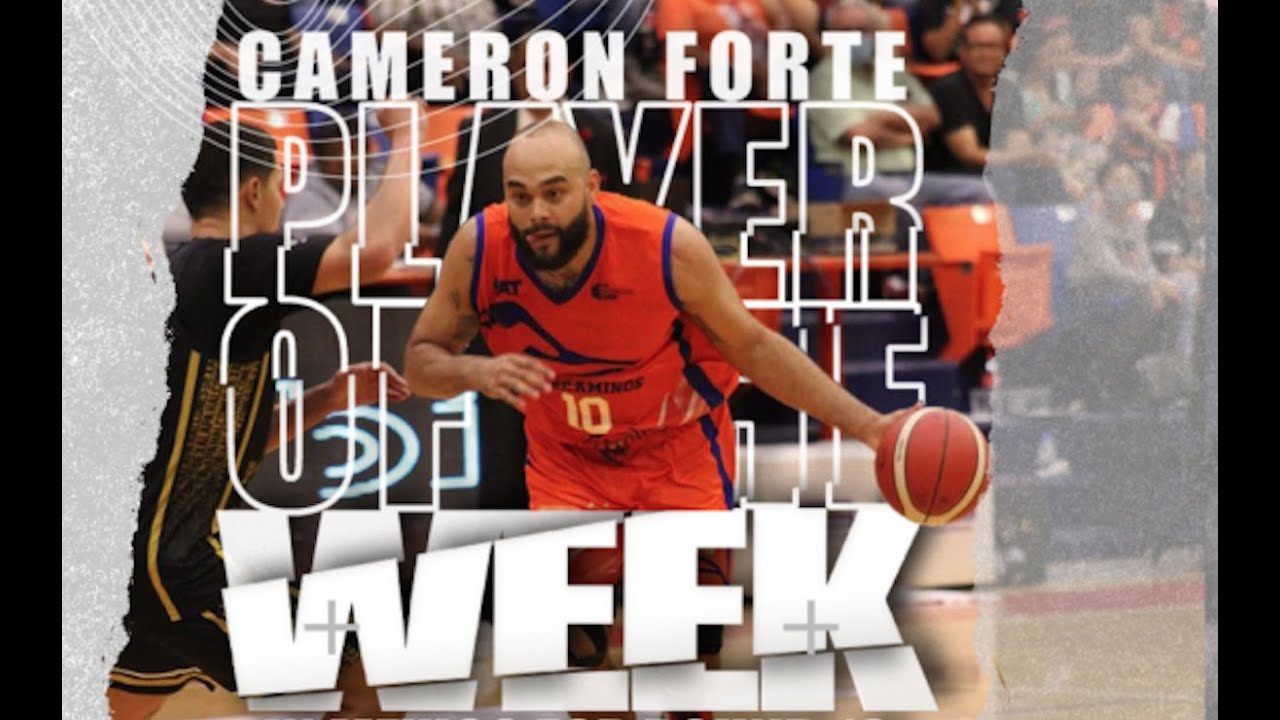 Cameron Forte LNBP Leading Rebounder. 3rd in Scoring 23.0 PPG - YouTube